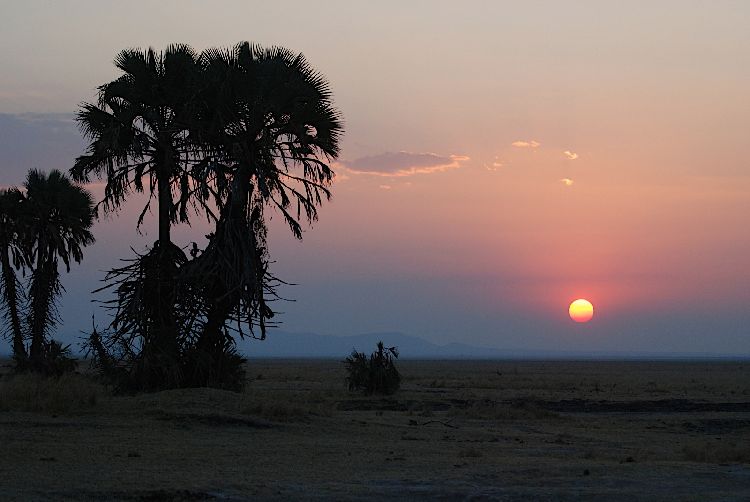 Katavi National Park: Facts, Safaris, Reviews, Map & Lodges