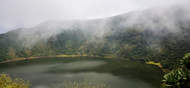 Mount Bisoke Hike (All-inclusive Hiking Mount Bisoke Rwanda)