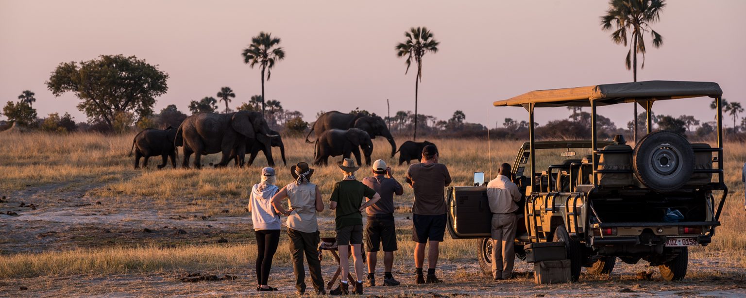 2024 All-inclusive African Safaris For Families With Reviews