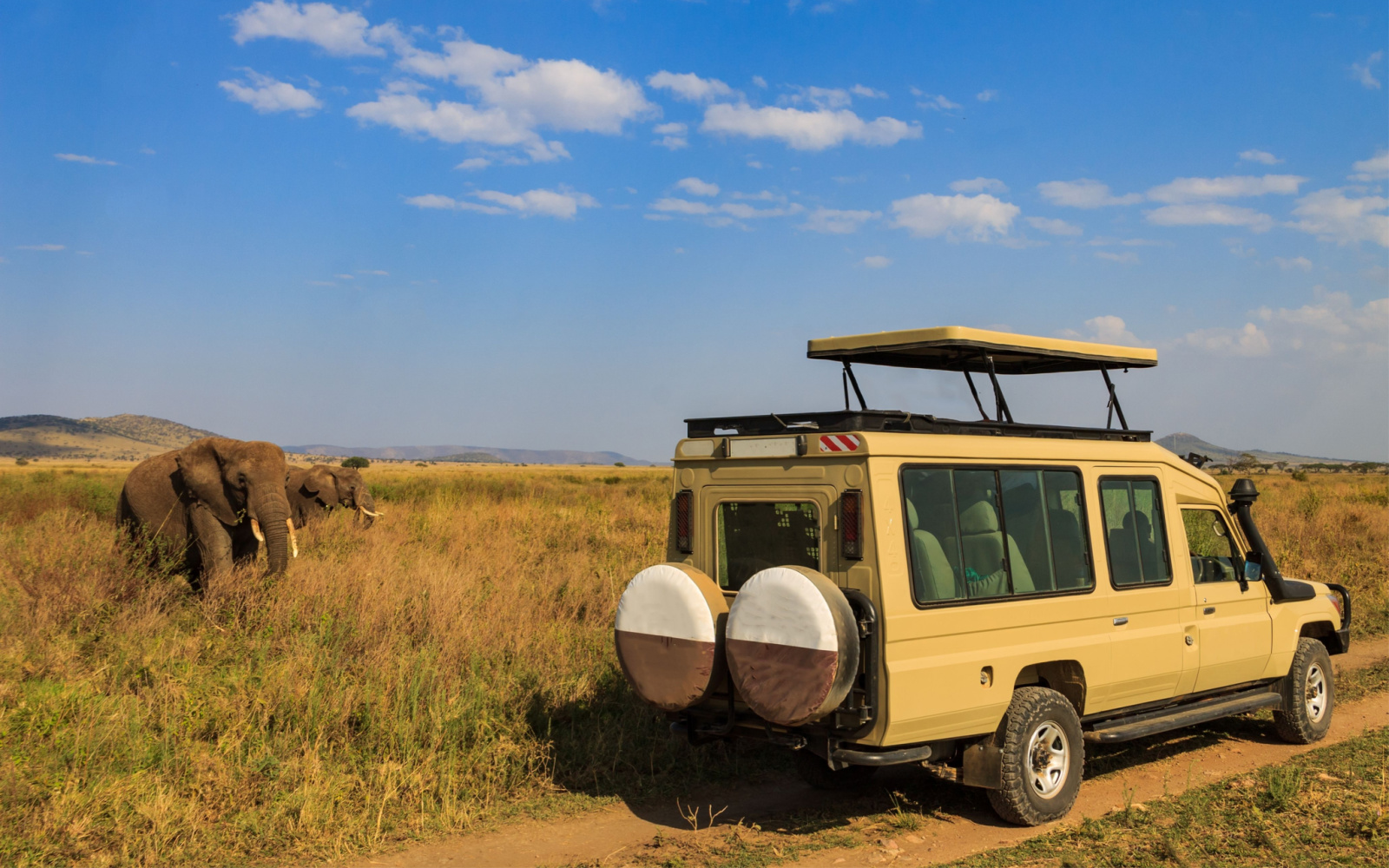 The Ultimate Guide-Making Luxury African Safaris Affordable