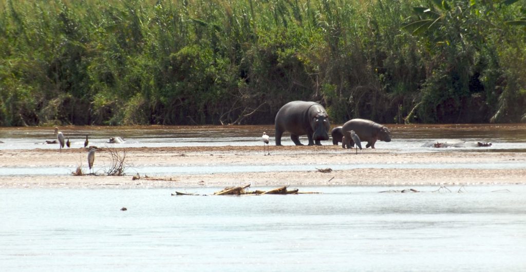 Rusizi National Park Facts, Tours, Activities, Map & Photos
