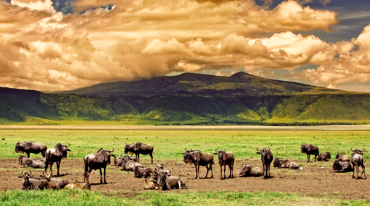 Things to do in Ngorongoro Conservation Area (Activities)