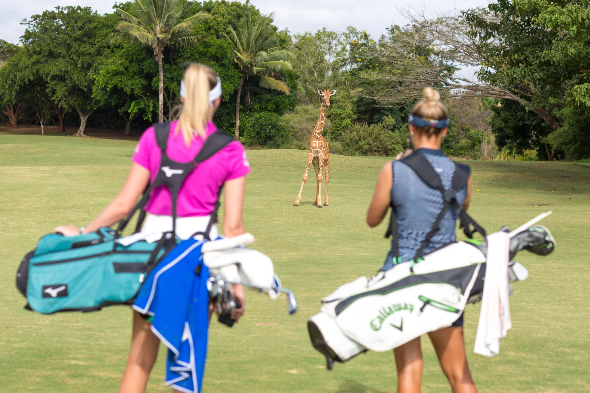 A Luxury 8 Days Kenya Golf Safari Itinerary Guide, Map, Tips