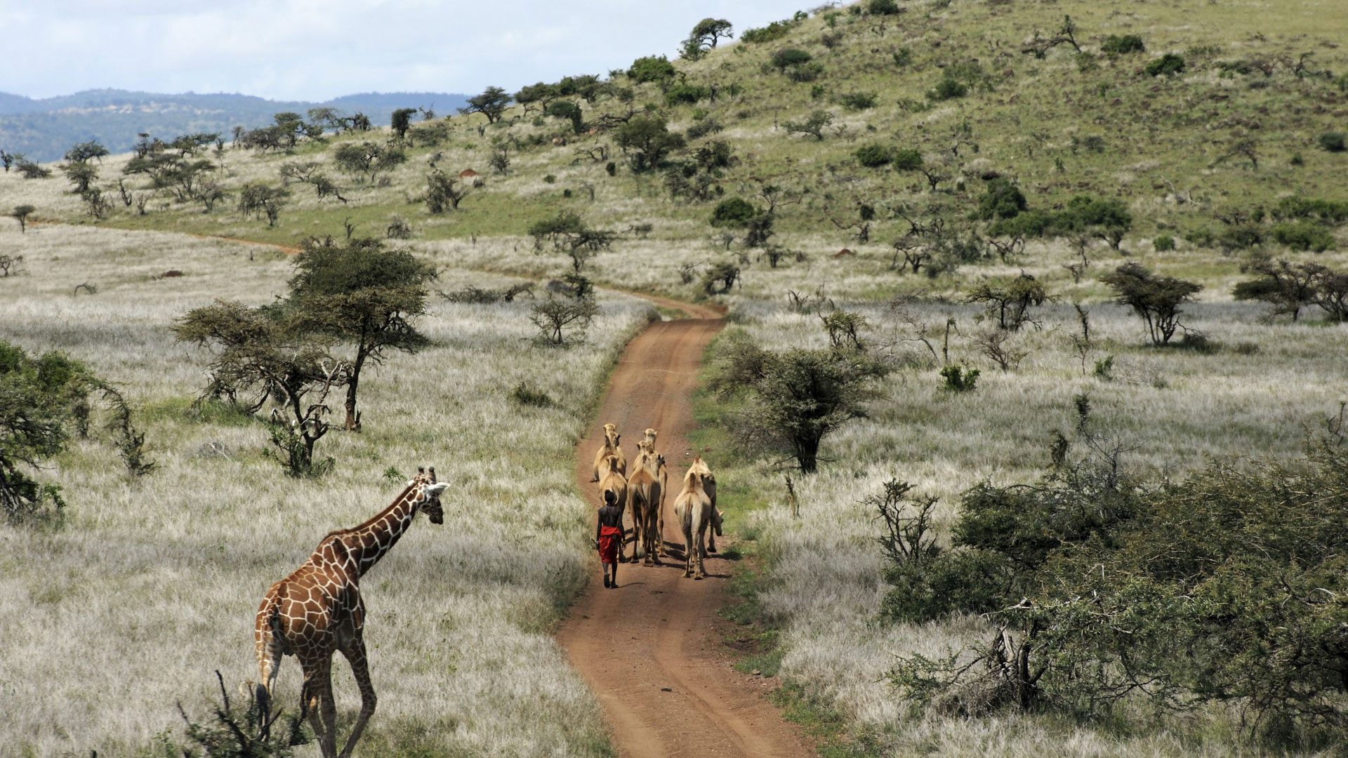 Laikipia Plateau Facts, Location, Tours, Map & More!