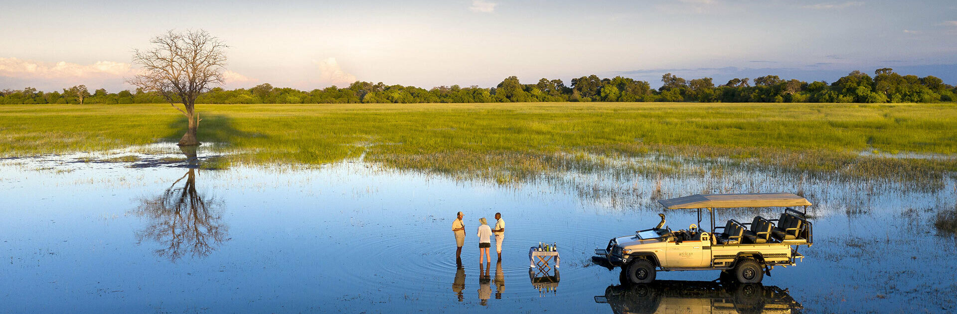 African Safari Destinations: The Best Places to Go on Safari