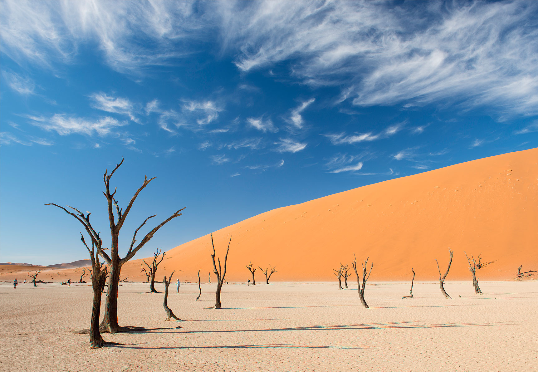 Best Time to Visit Namibia: A Month-by-Month Guide