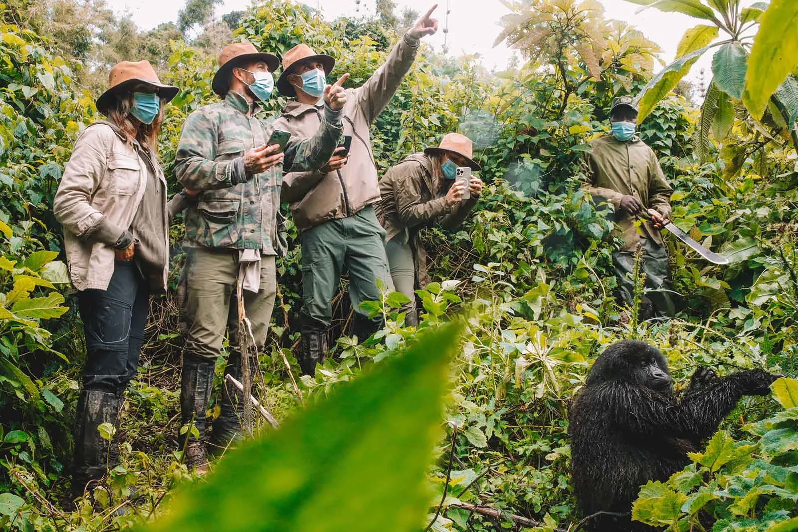 Gorilla Trekking From Europe to Uganda And Rwanda