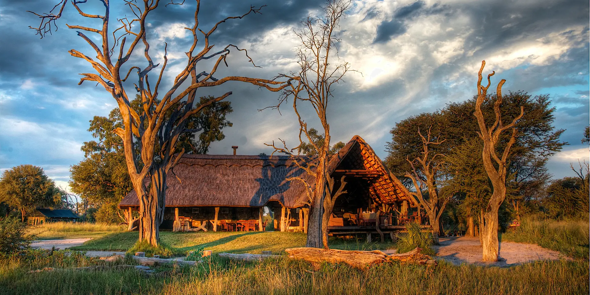 My Zimbabwe Solo Safari Experience, Review & Recommendations