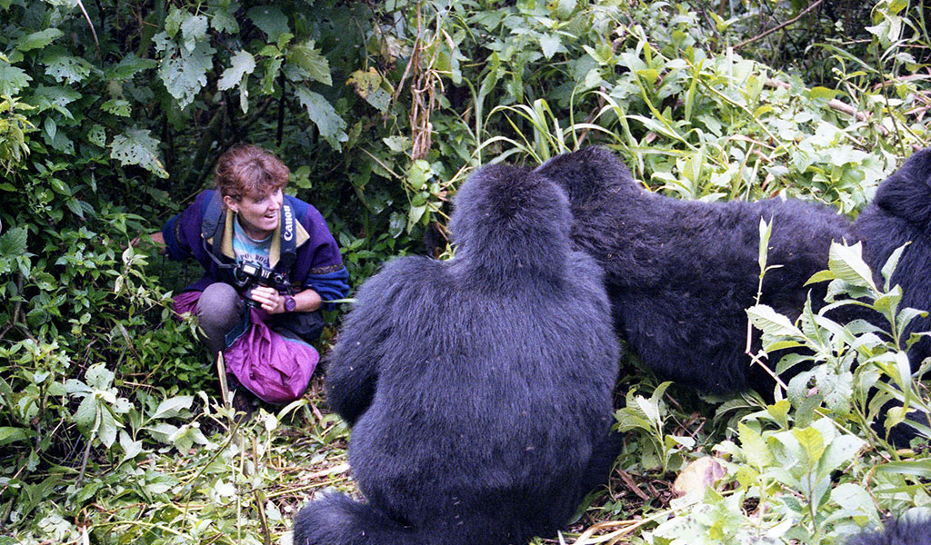 7-Day Double Gorilla Trek Safari Uganda & Rwanda for All