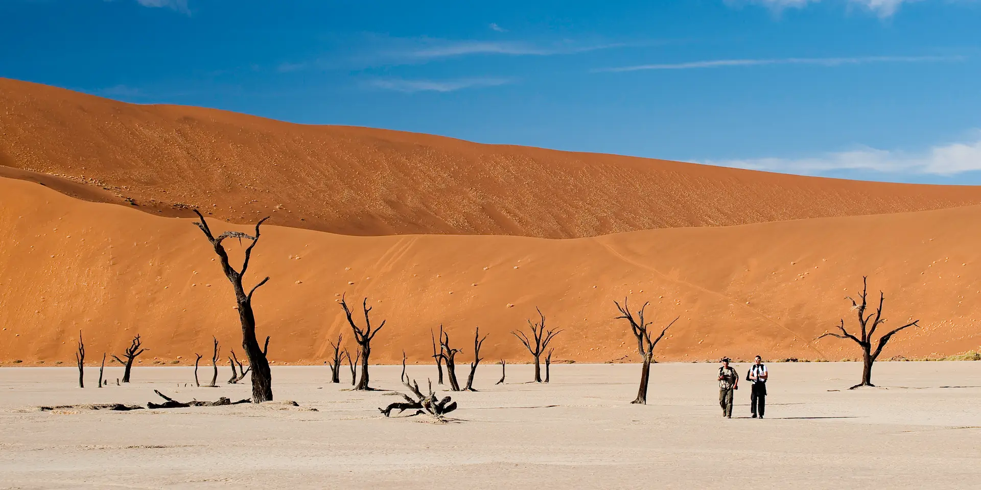 Ultimate Namibia | 9-Day Ultimate Namibia Safari Itinerary
