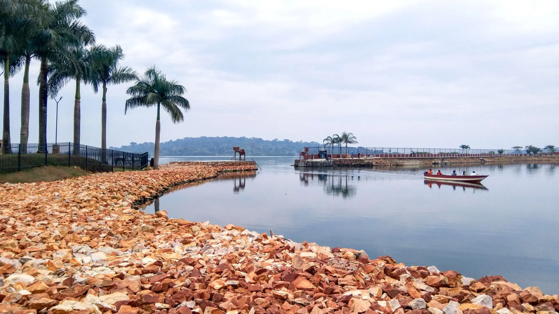 5 Things To Do In Entebbe | Gorilla Trekking, Shoebills